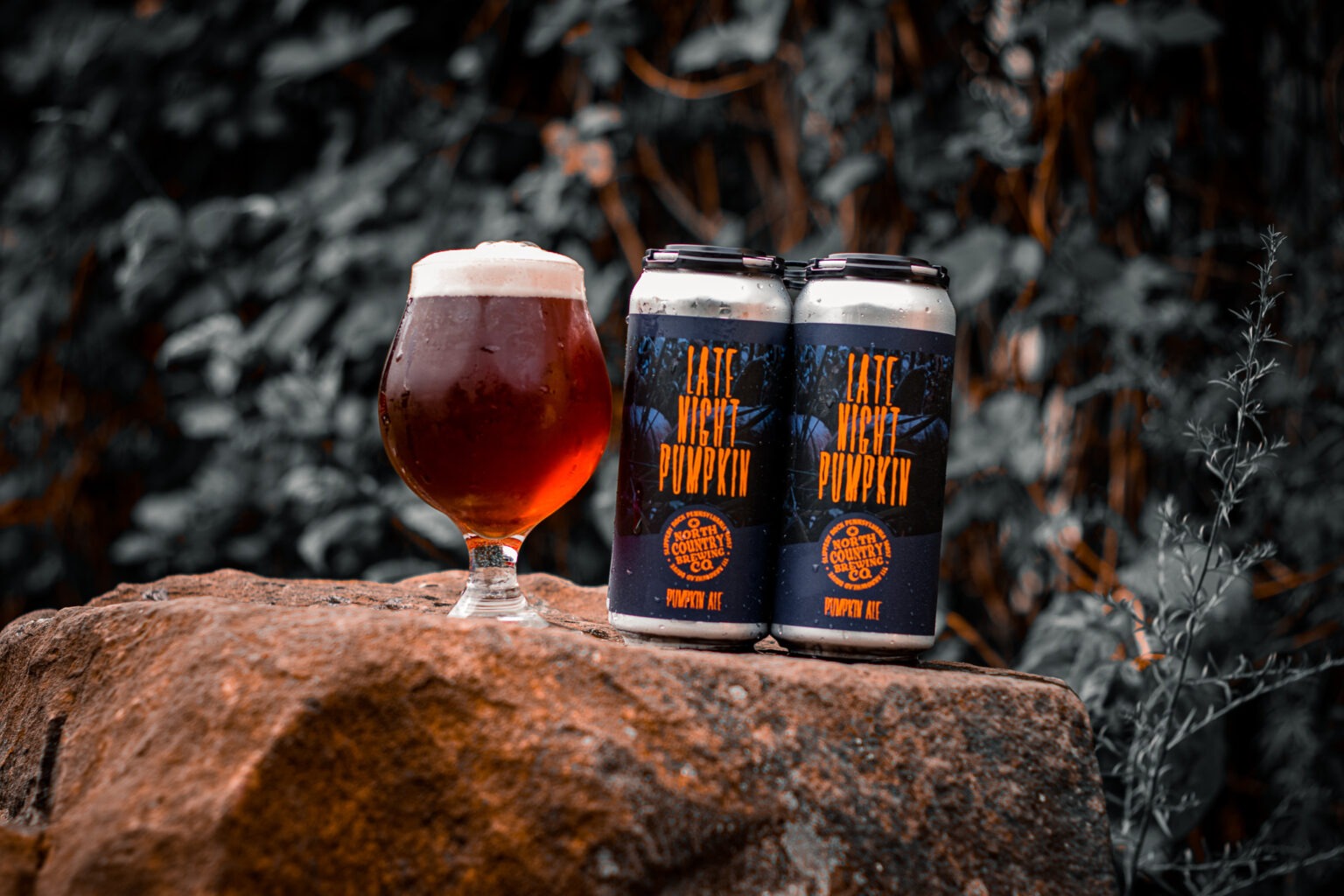North Country Brewing Company – Slippery Rock, PA