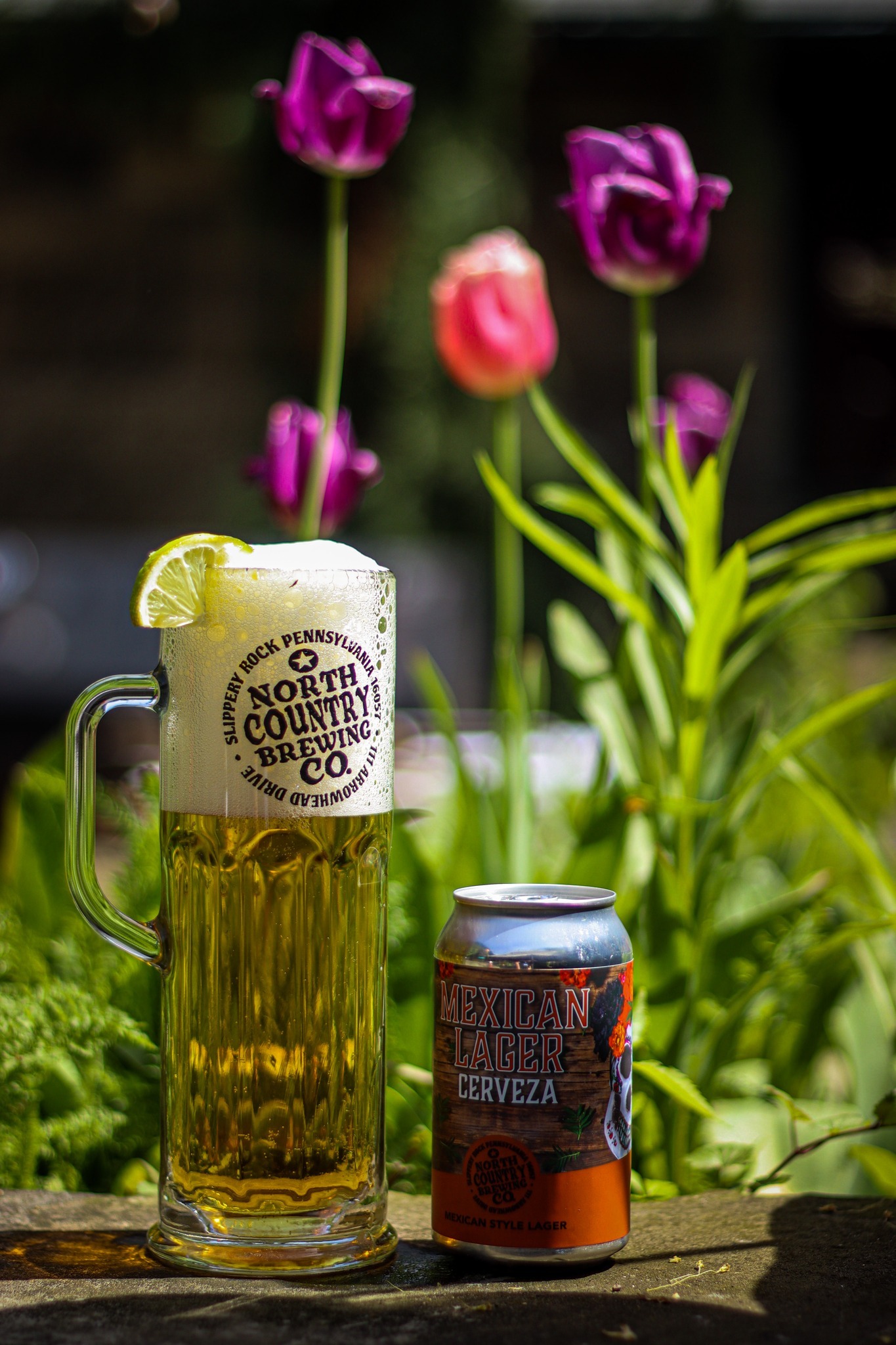 Canning – North Country Brewing Company